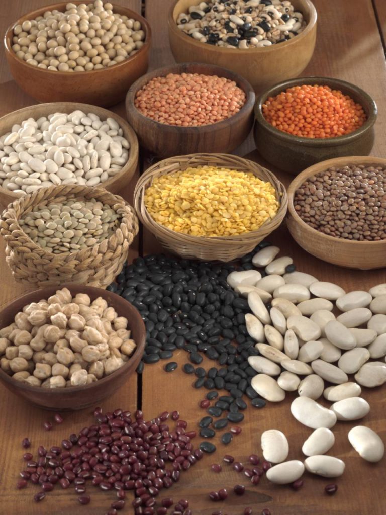 PULSES & BEANS - OMSOM